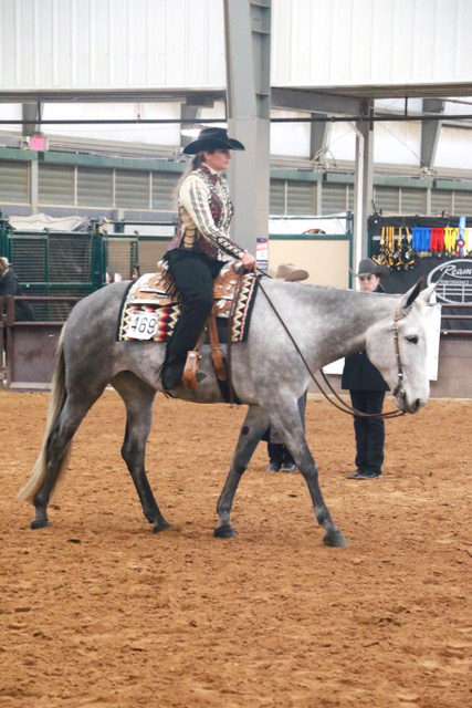 Welcome To Pinto Horse Association Of America!
