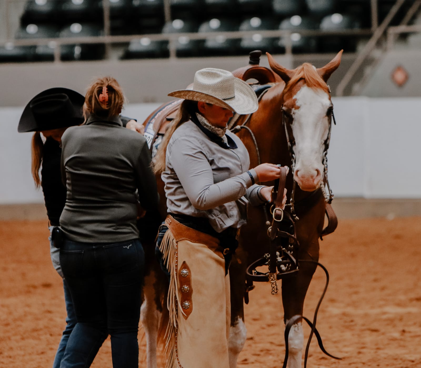 Welcome To Pinto Horse Association Of America!