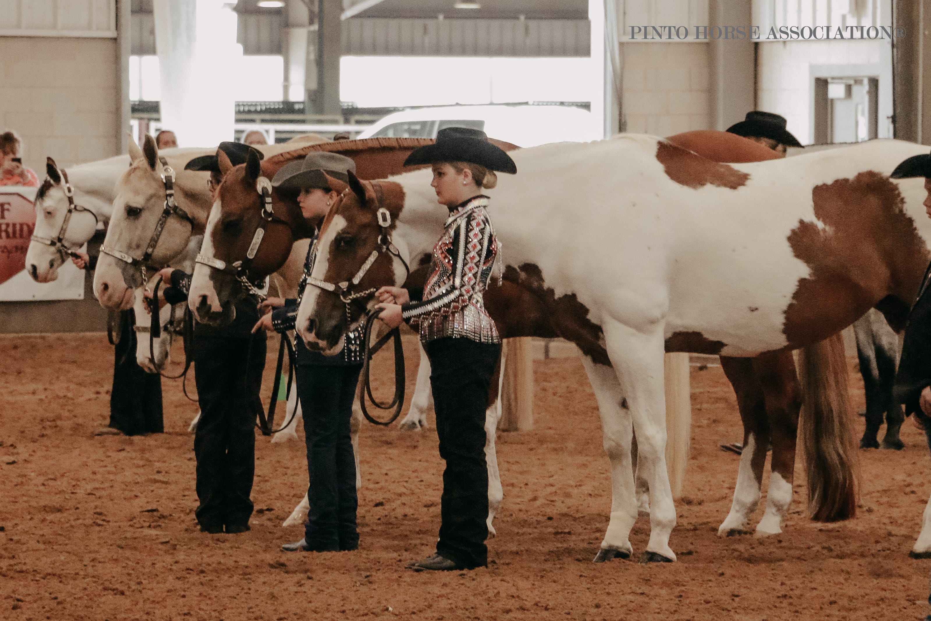 Welcome To Pinto Horse Association Of America!