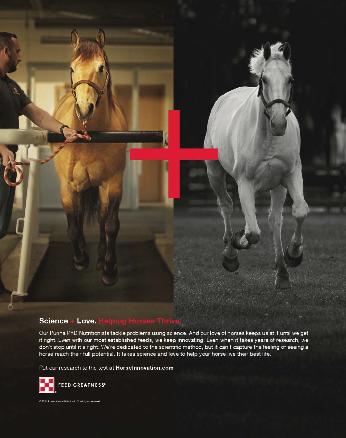 PtHA Charters - Zone 5